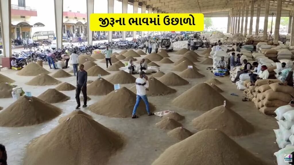 jeera price today Archives - Gujarat Bajar Samachar
